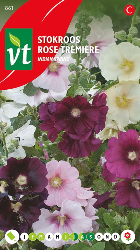 catalogus detail - Rose trémière - Aubade