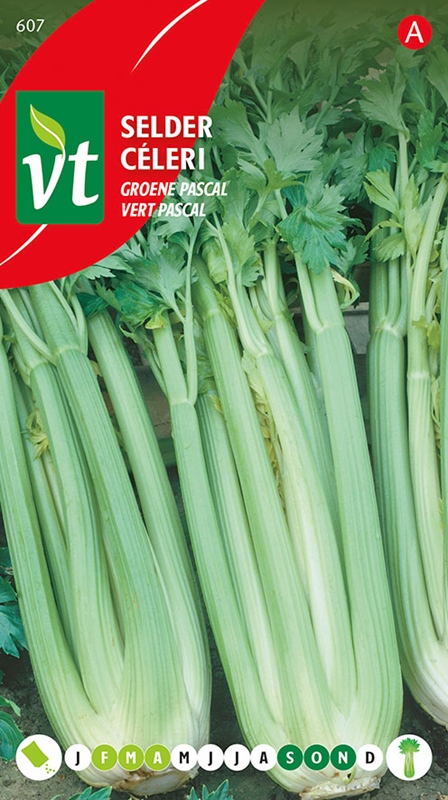 catalogus detail - Selder - Groene Pascal
